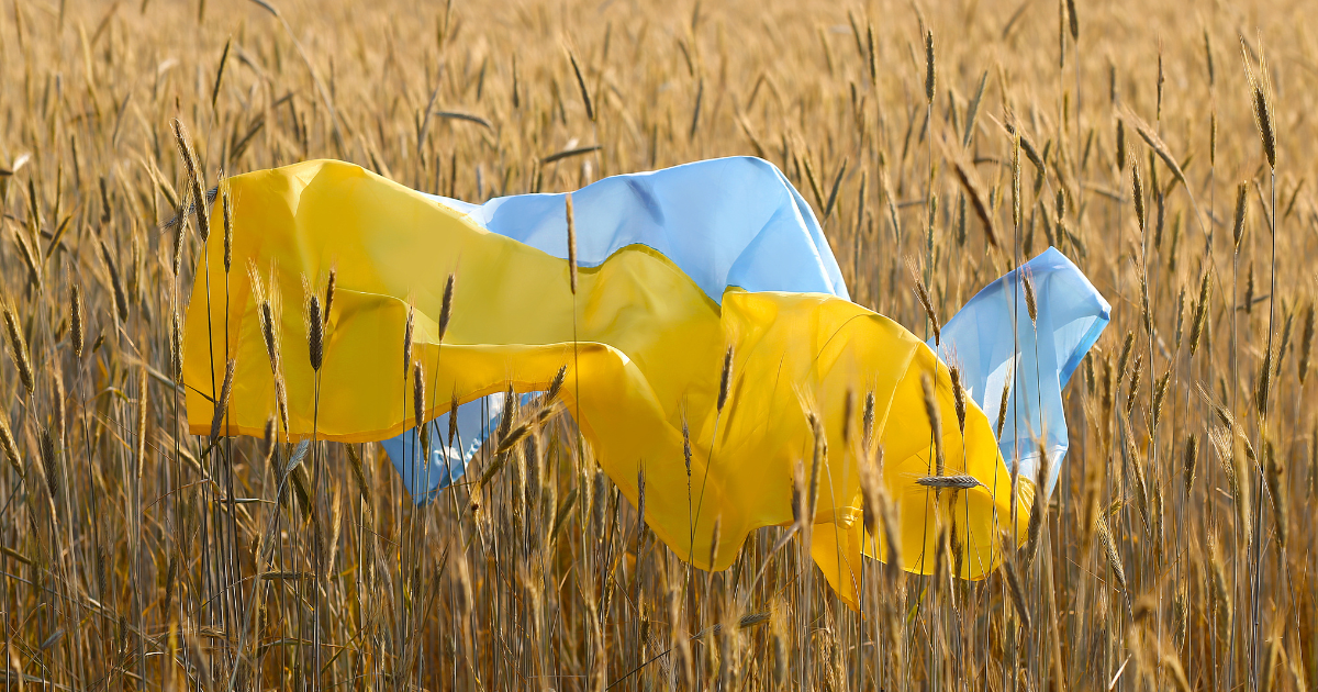 The situation in Ukraine pushes cereal prices to the highest levels ...